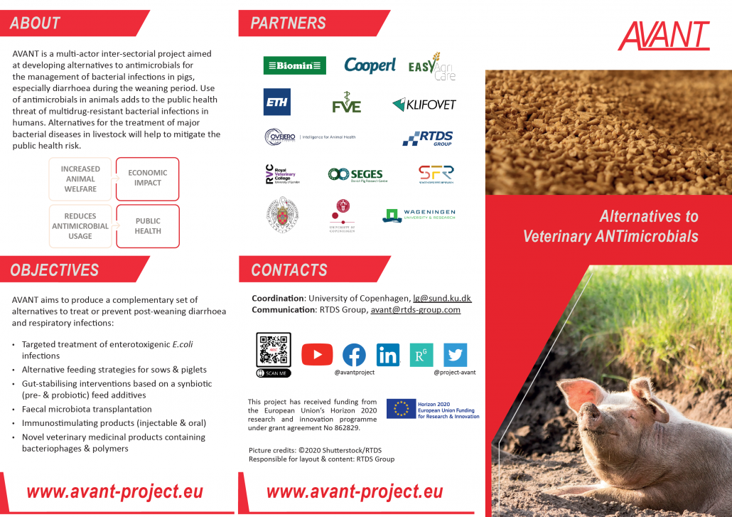 Communication Material - Avant project